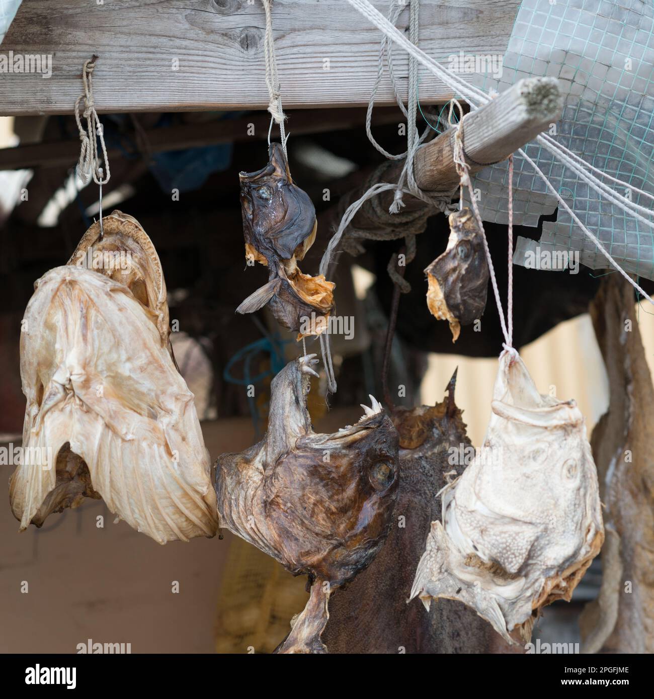 Hanging dry hi-res stock photography and images - Alamy