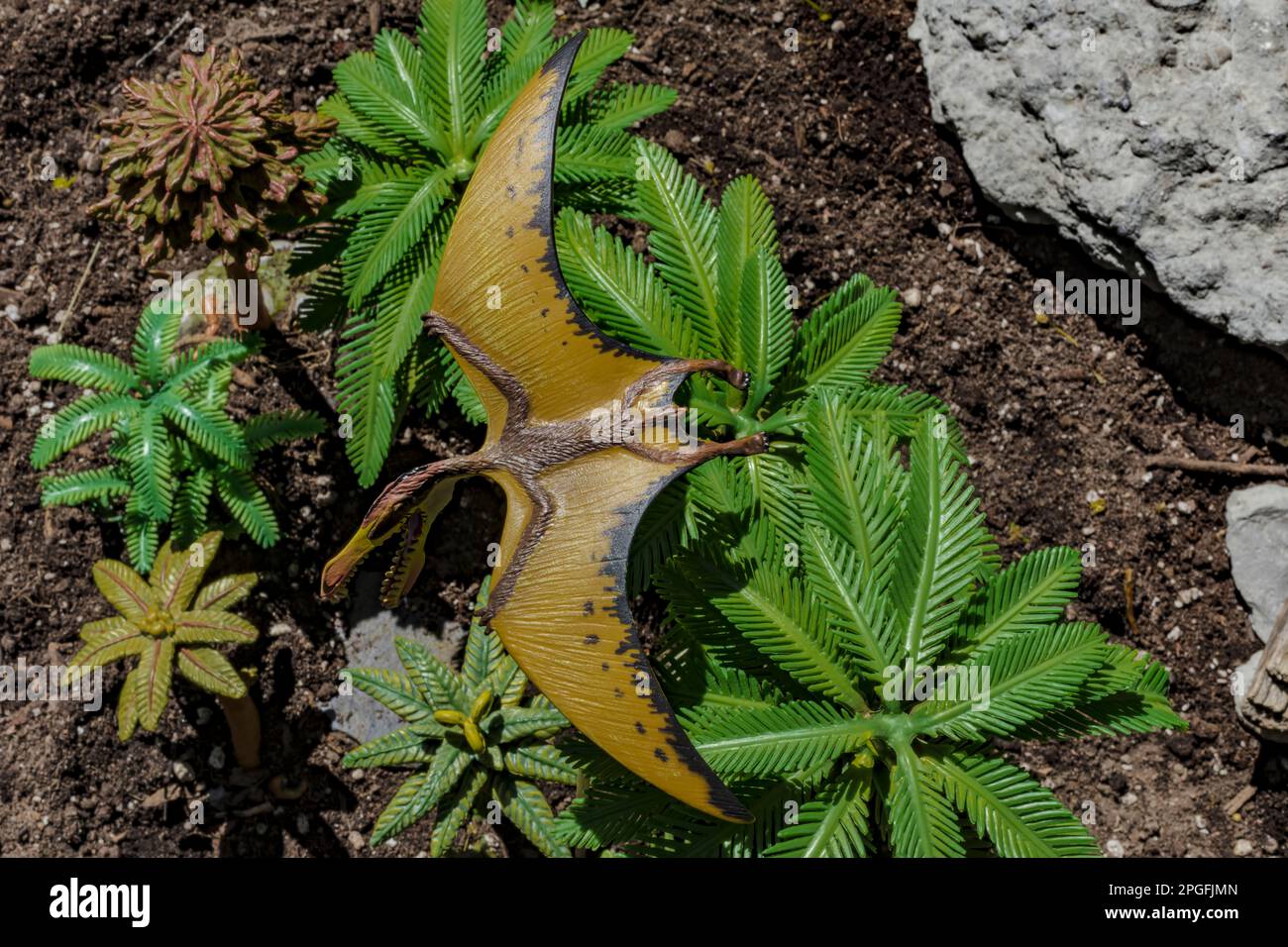 Pterosaurs flew over the skies of the Late Triassic to the late ...