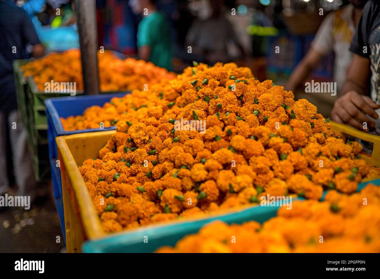 Delhi flower garland hi-res stock photography and images - Alamy