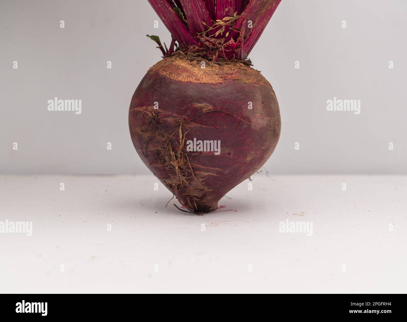Close-up of beetroot on isolated white background Stock Photo - Alamy