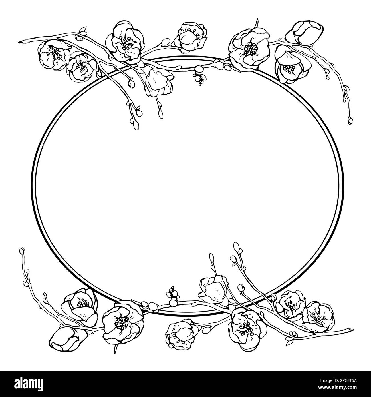 Vector graphics of a linear drawing of flowers. Vector illustration ...