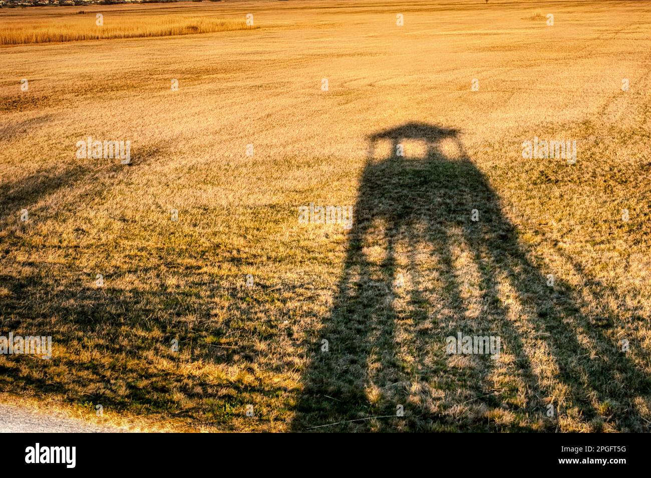 Die natur ist der kunstler hi-res stock photography and images - Alamy