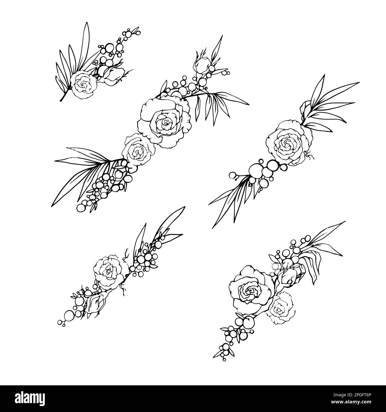 Fashionable plants Black and White Stock Photos & Images - Alamy