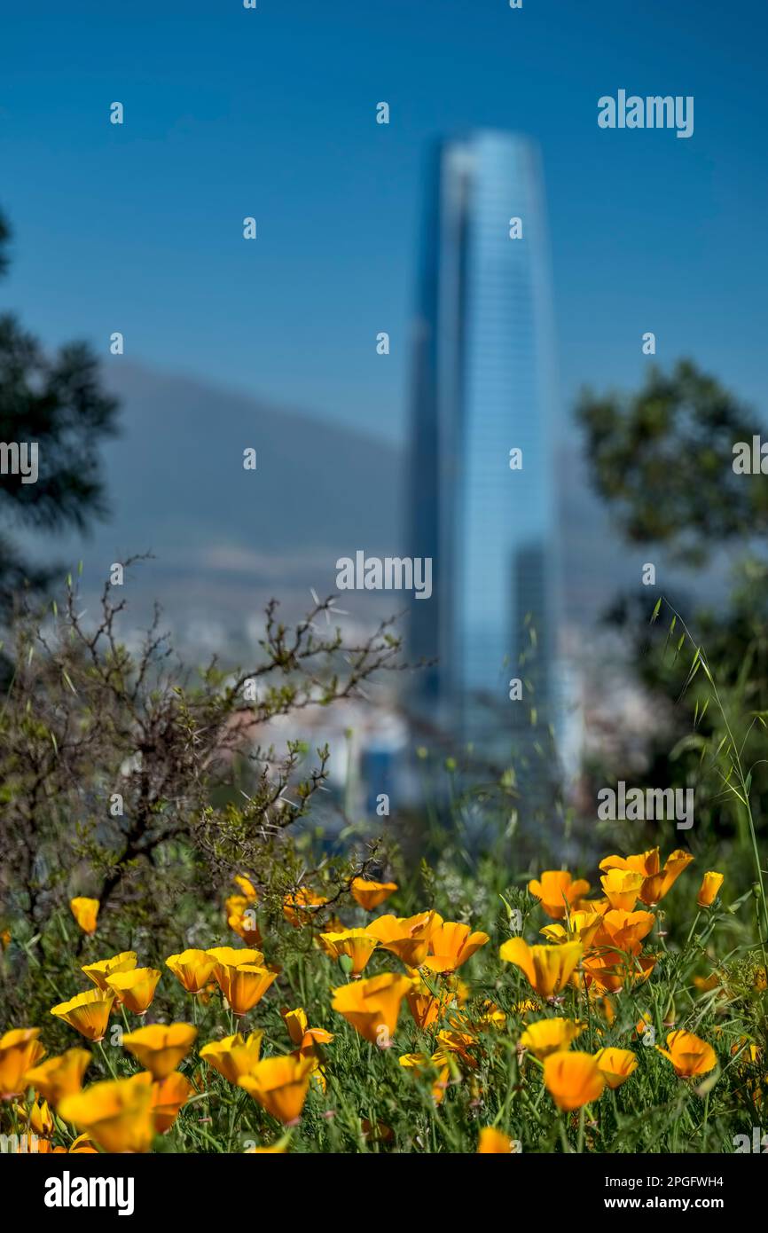 Downtown Santiago, Chile Stock Photo - Alamy