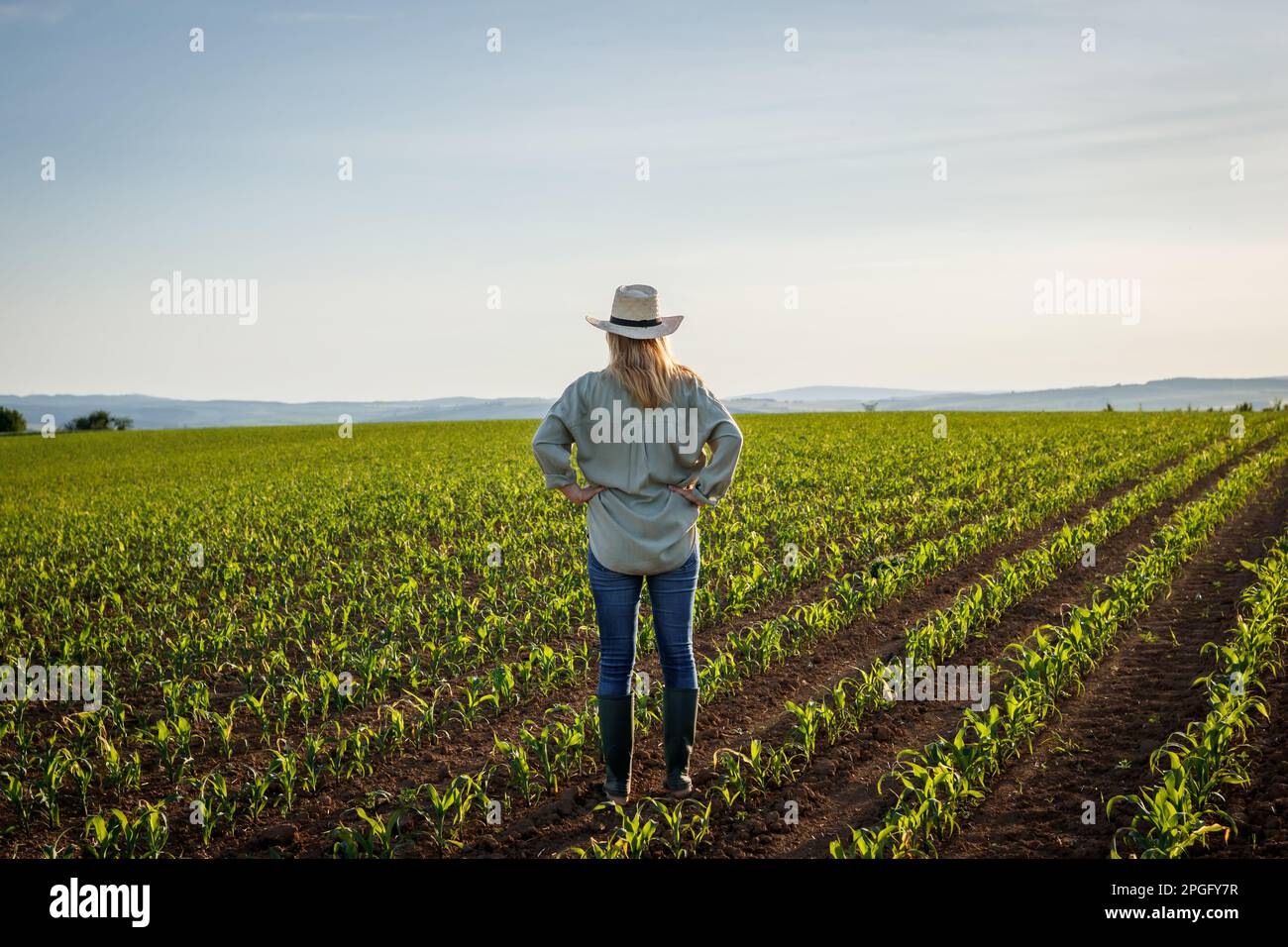 Satisfied farmer is looking to corn field at her organic farm. Woman ...