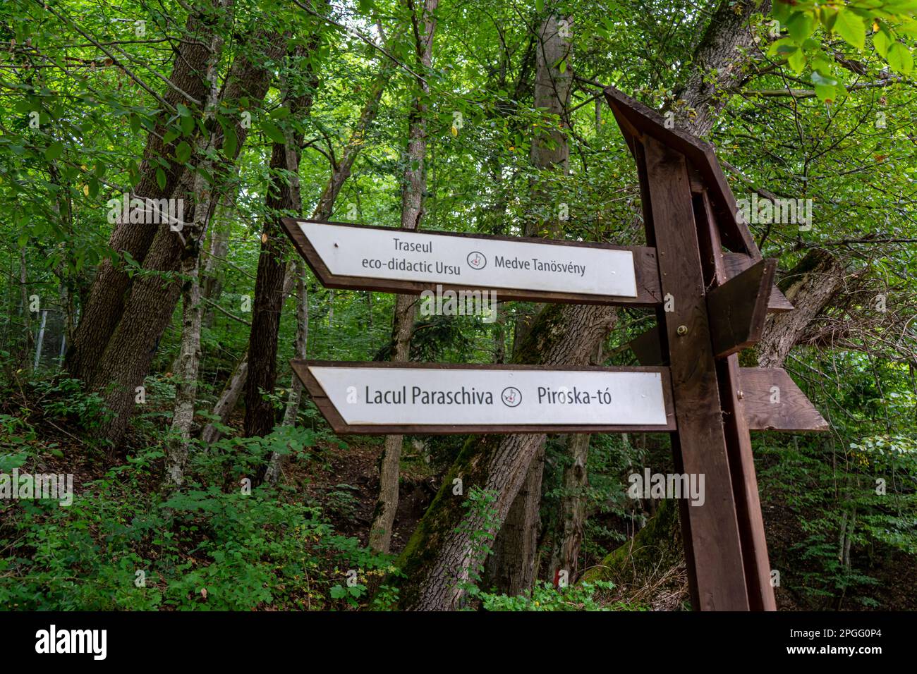 SOVATA, ROMANIA - AUGUST 24, 2022: Sovata city and Ursul lake resort ...