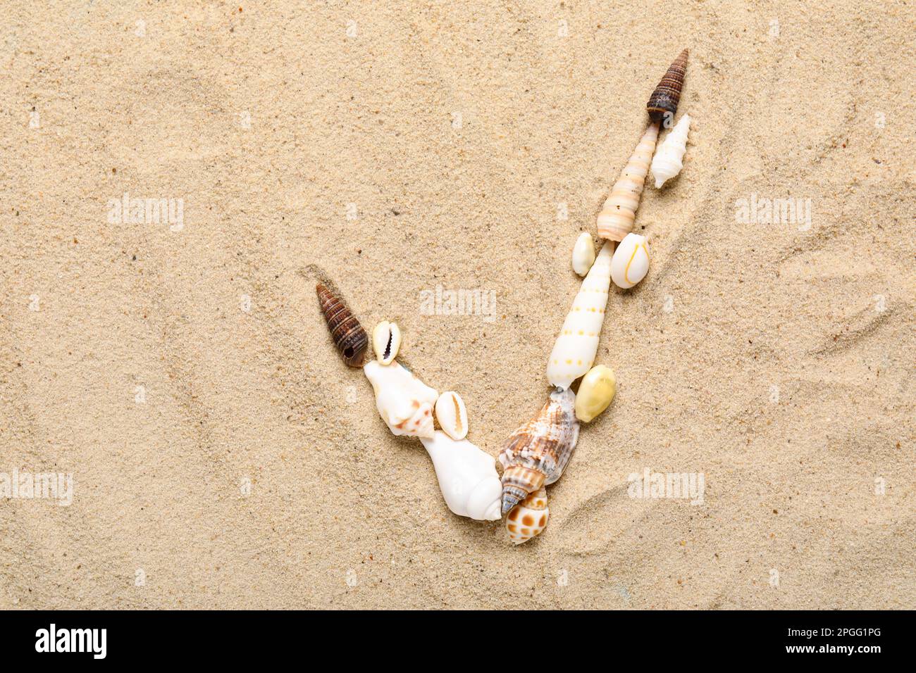 Check mark made of seashells on sand Stock Photo - Alamy