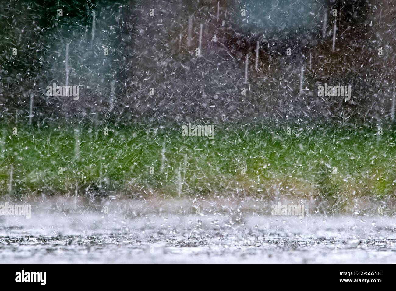 White raspberry rain hi-res stock photography and images - Alamy