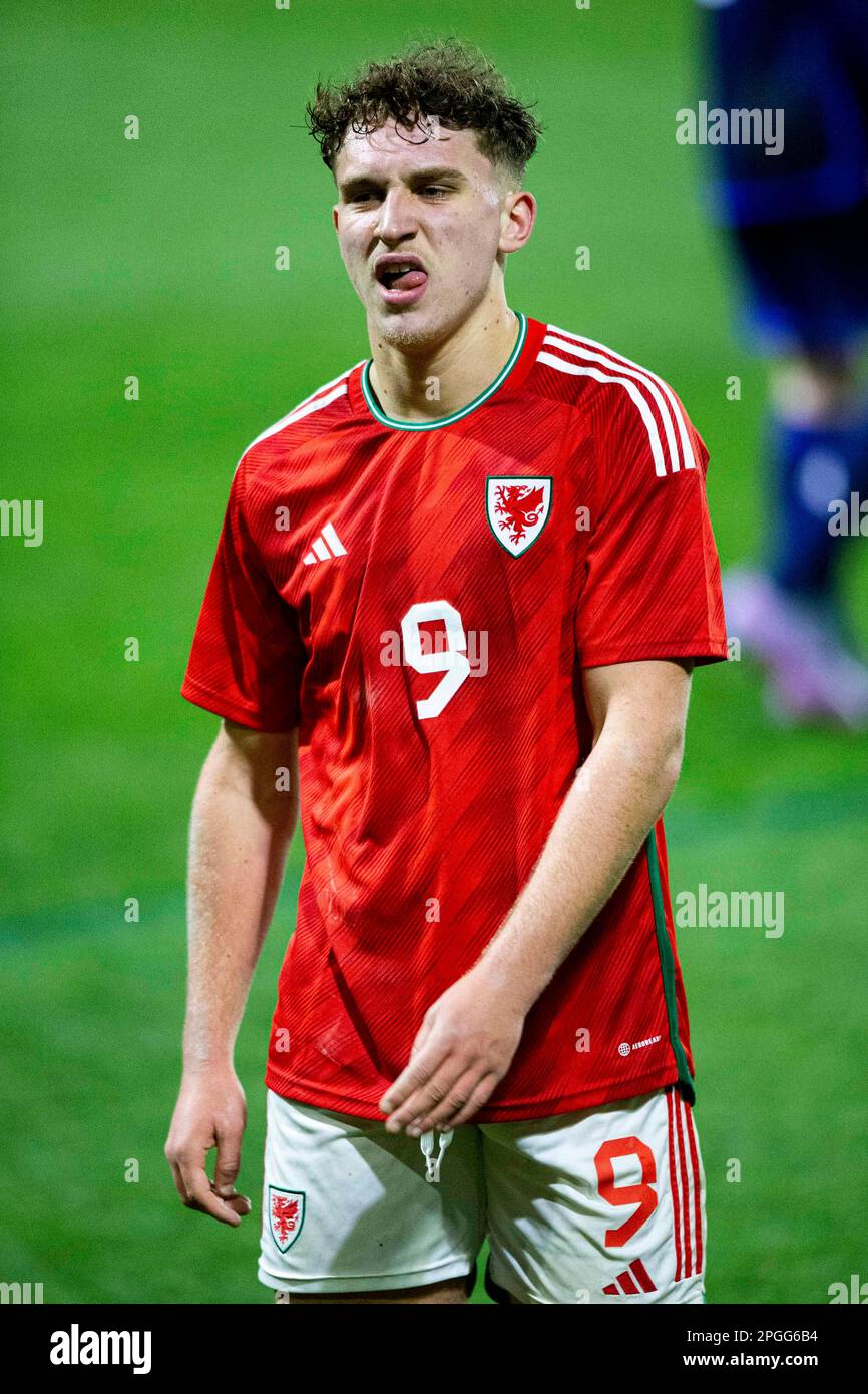 Newport, UK. 22nd Mar, 2023. Iwan Morgan of Wales is substituted during ...