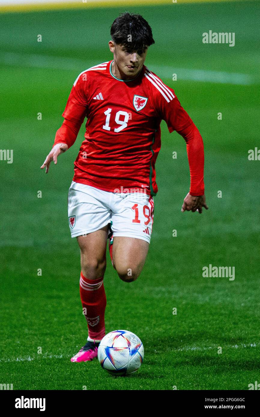 Newport, UK. 22nd Mar, 2023. Joe Hatch of Wales in action. Scotland v ...