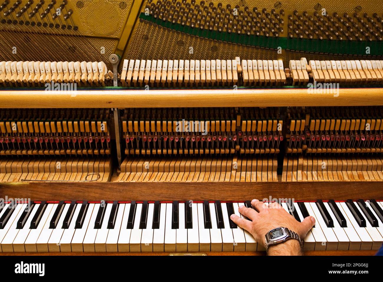 piano tuner plays Stock Photo - Alamy