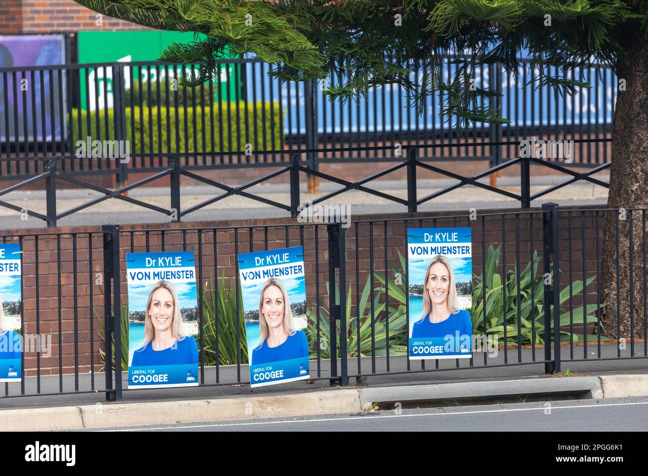 NSW State election 2023, liberal candidate for the seat of Coogee in ...