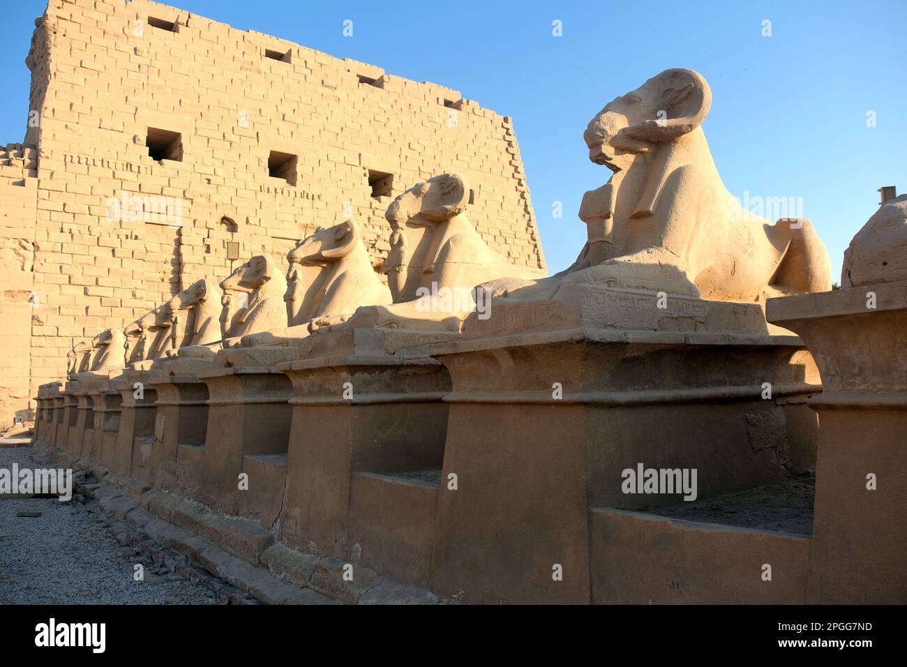 Ram headed Sphinx at Karnak Temple, Luxor Stock Photo - Alamy