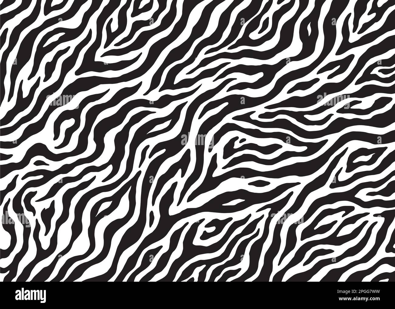 Hybrid zebra Stock Vector Images - Alamy