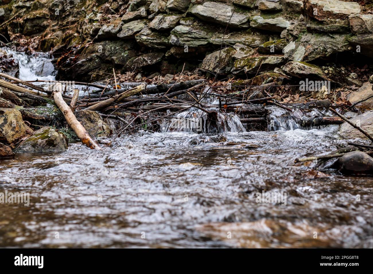 A picturesque mountain stream cascading over rocks, creating a tranquil ...