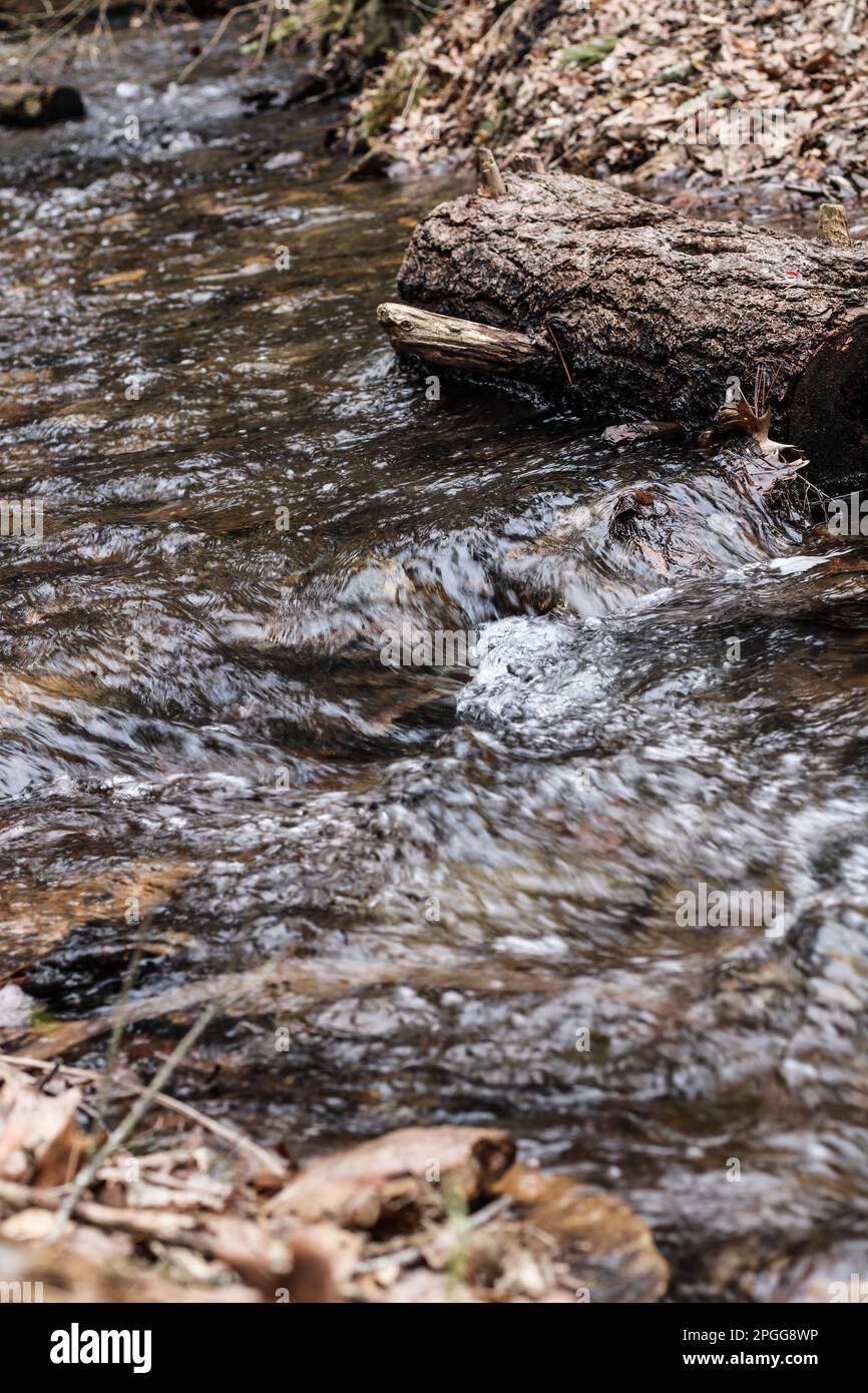 A picturesque mountain stream cascading over rocks, creating a tranquil ...
