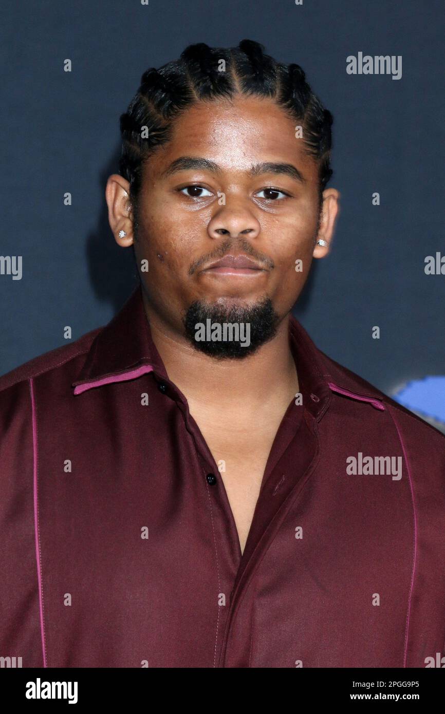 Snowfall Series Six premiere at the Ted Mann Theater on February 15 ...