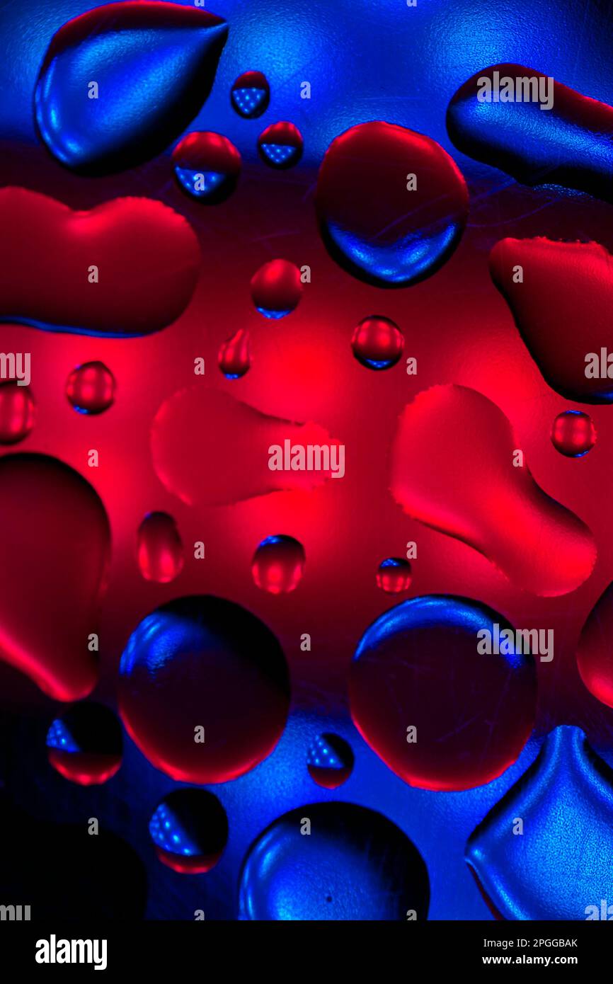 drops wallpaper Blue and pink colors.Bubbles in neon light.Fluid ...