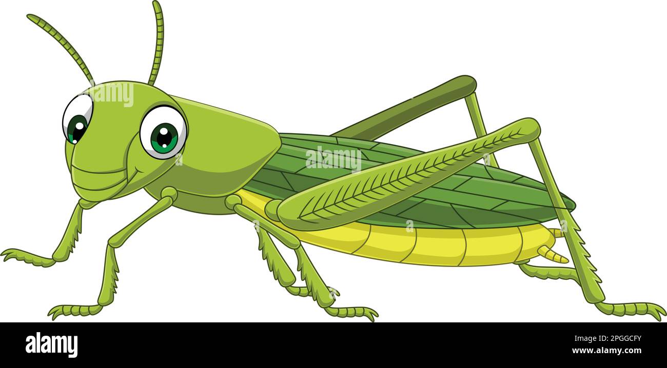 Cartoon grasshopper on white background Stock Vector Image & Art - Alamy
