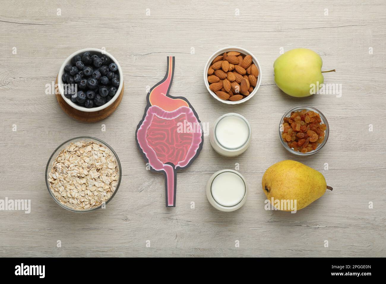 Layout of gastrointestinal tract model and products to help digestion ...