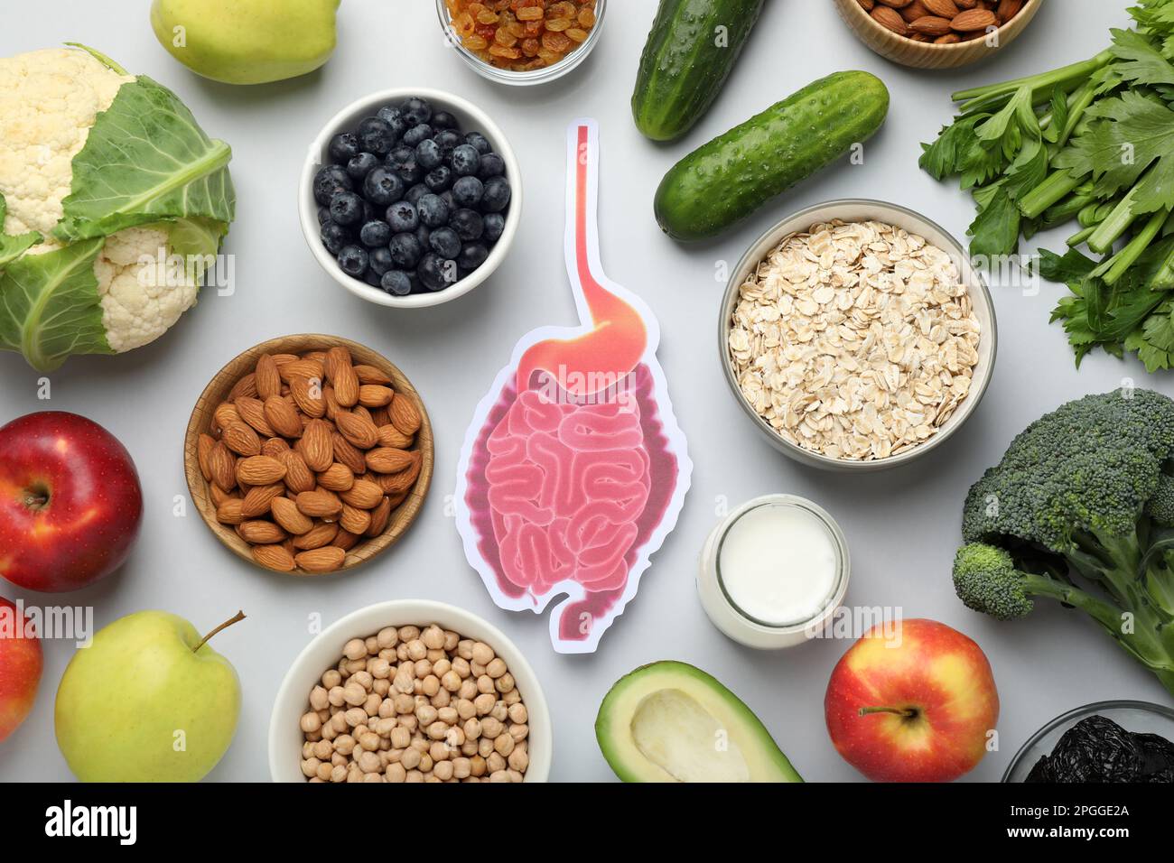 Layout of gastrointestinal tract model and products to help digestion ...