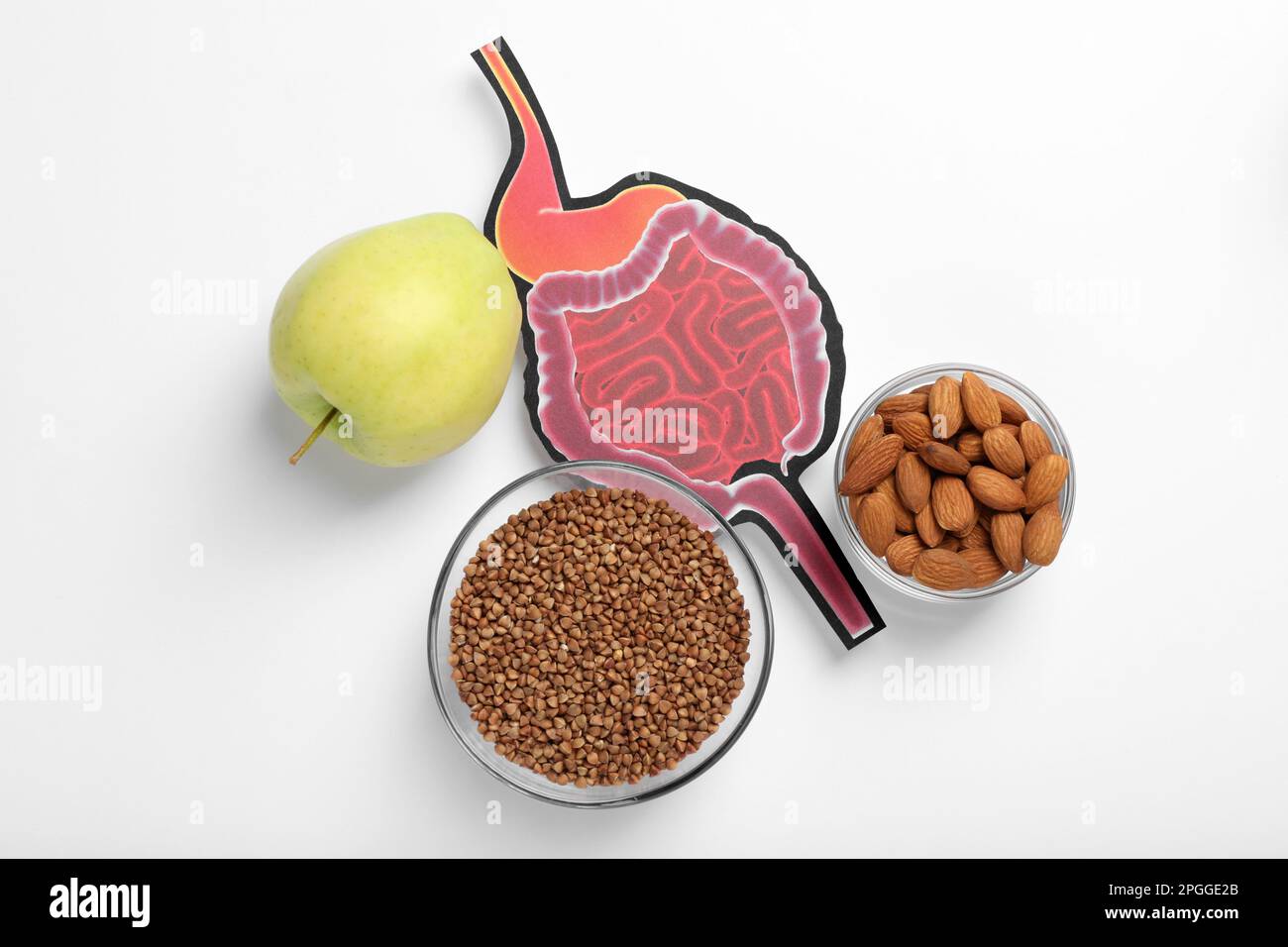Gastrointestinal tract model and products to help digestion on white ...