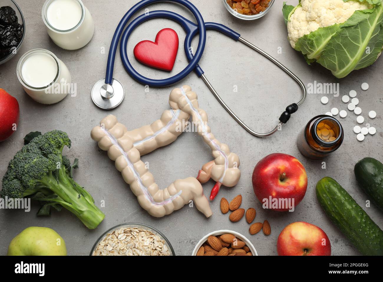 Layout of intestine model and products to help digestion on grey table ...