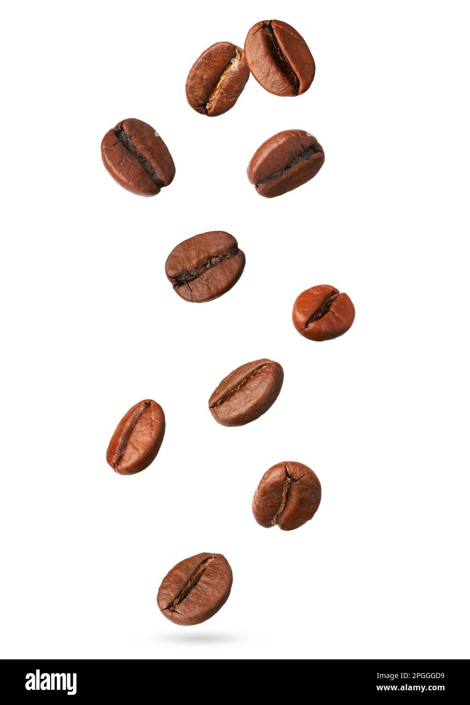 Many roasted coffee beans flying on white background Stock Photo - Alamy