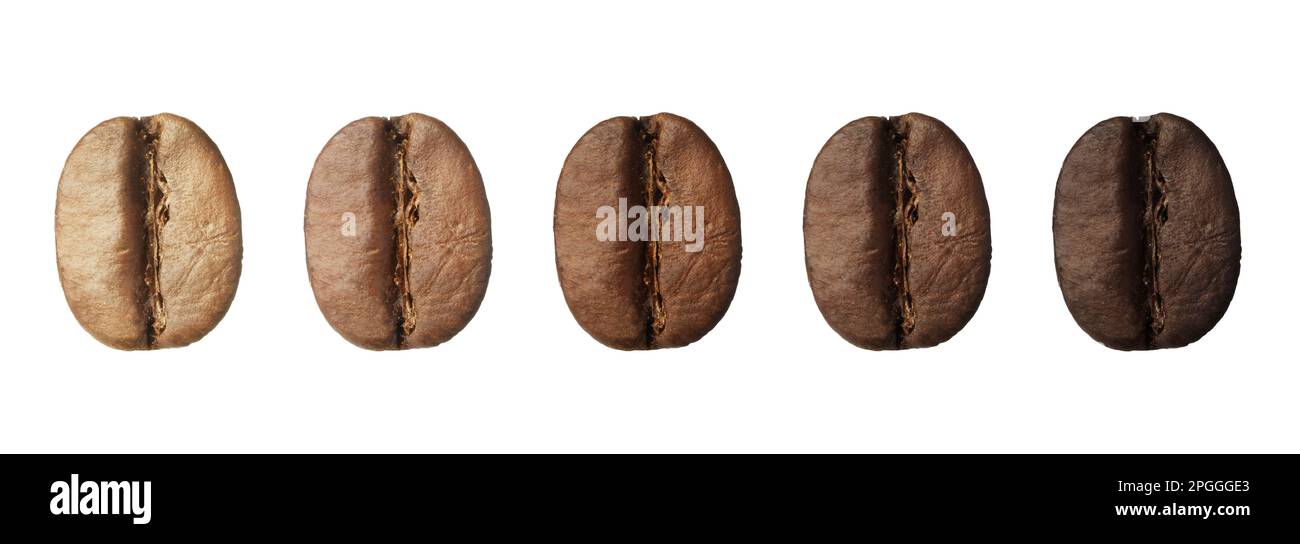 Stages of roasting coffee beans on white background, collage. Banner ...