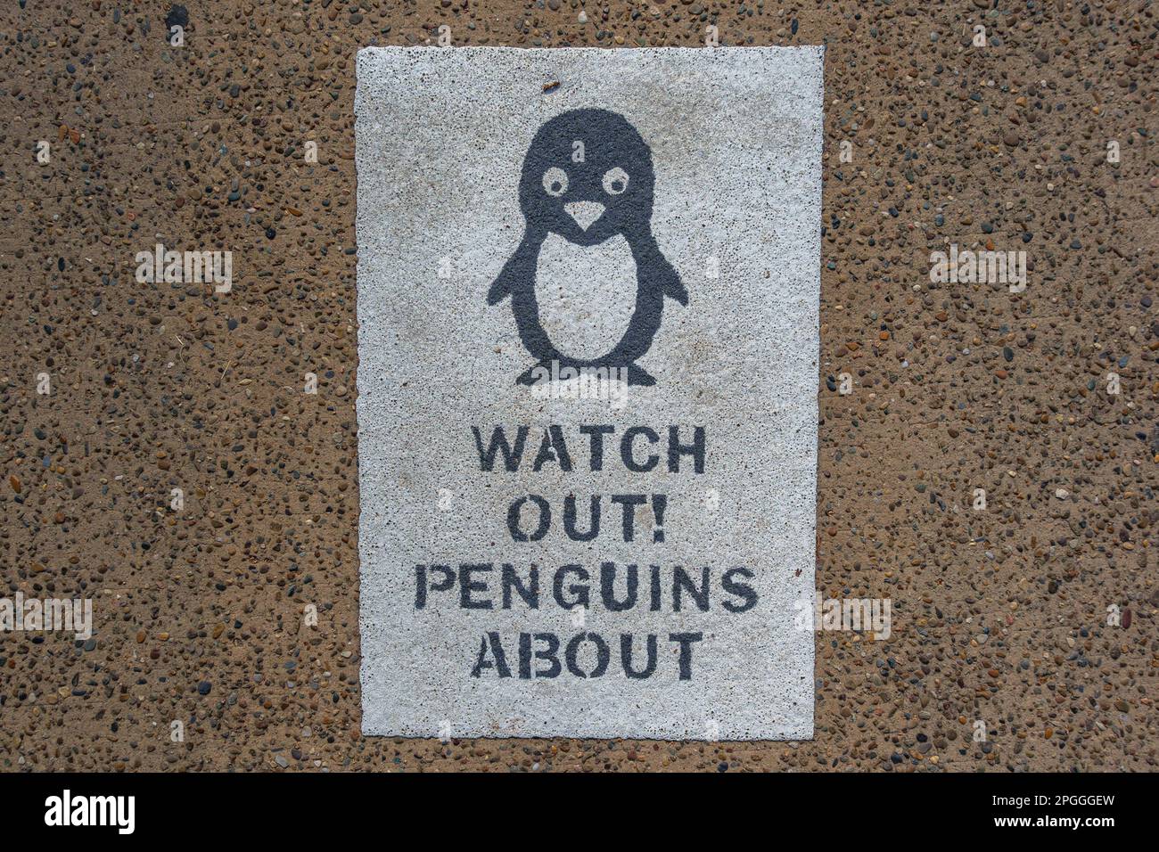 A sign painted on the sidewalk asking people to watch out for penguins ...