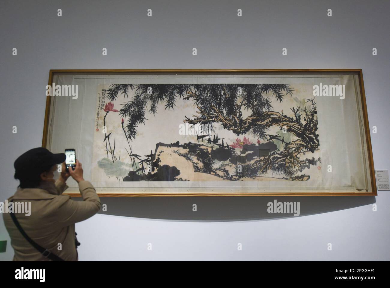 HANGZHOU, CHINA - MARCHA 23, 2023 - visitor looks at Pan Tianshou's ...