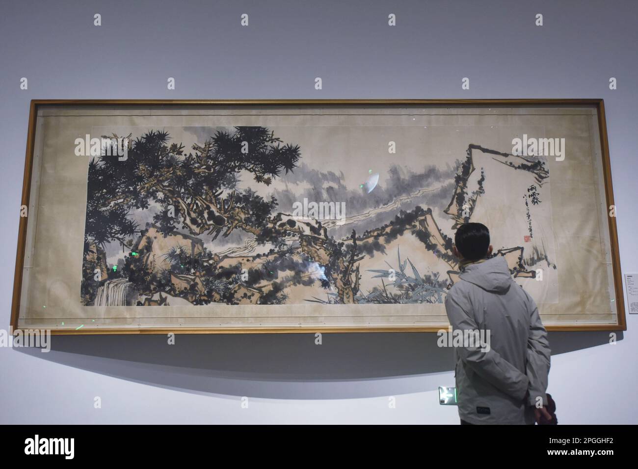 HANGZHOU, CHINA - MARCHA 23, 2023 - visitor looks at Pan Tianshou's ...