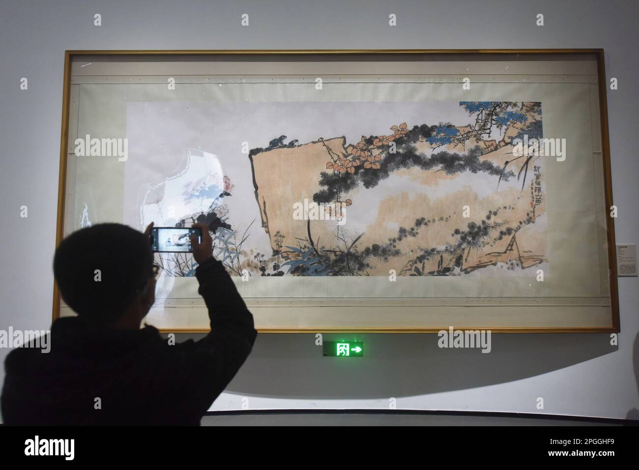 HANGZHOU, CHINA - MARCHA 23, 2023 - visitor looks at Pan Tianshou's ...