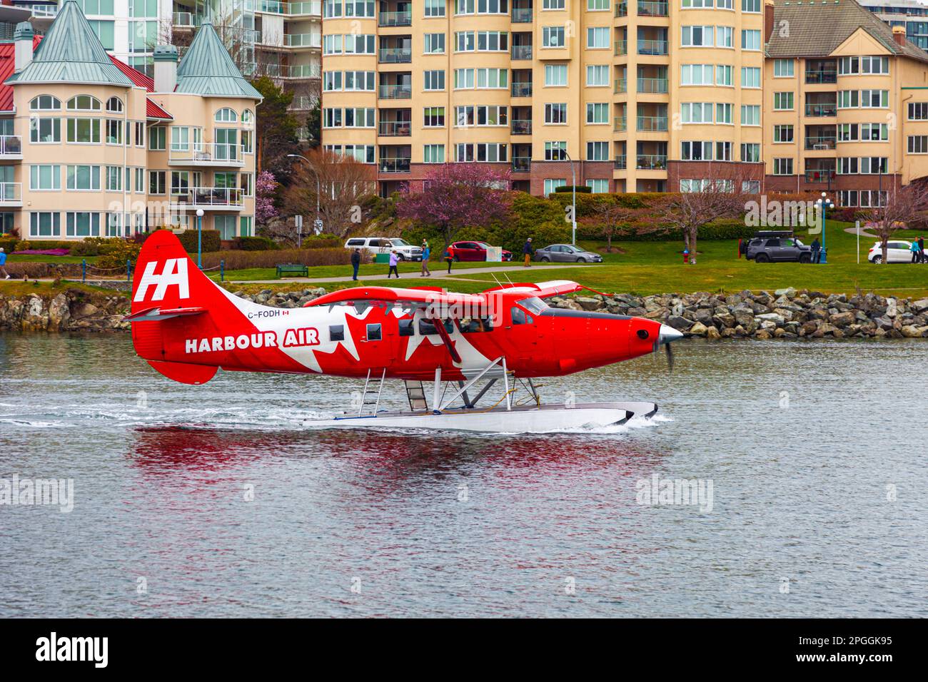Harbour Air Turbo Otter DHC-3T landing in Victoria Harbour British ...