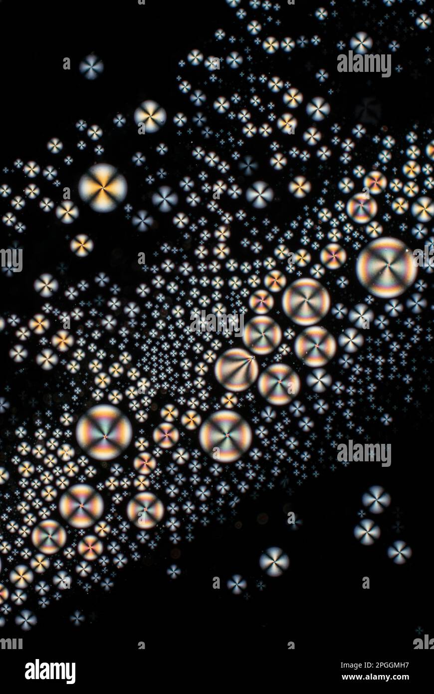 Droplets of liquid crystal, light micrograph Stock Photo - Alamy