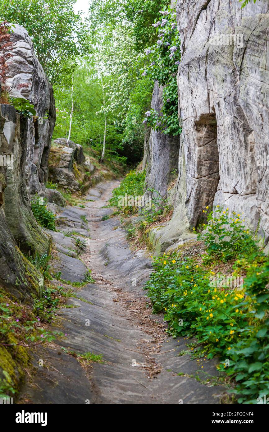 Schloss palace gardens Langenstein Harz Stock Photo - Alamy