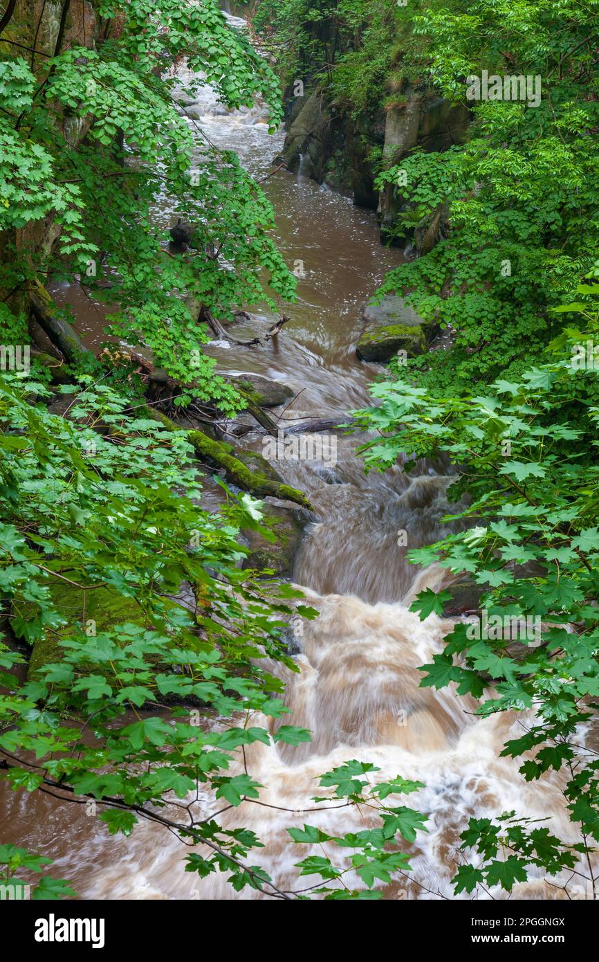 Wild and romantic Bode Valley in the Harz Mountains Stock Photo - Alamy