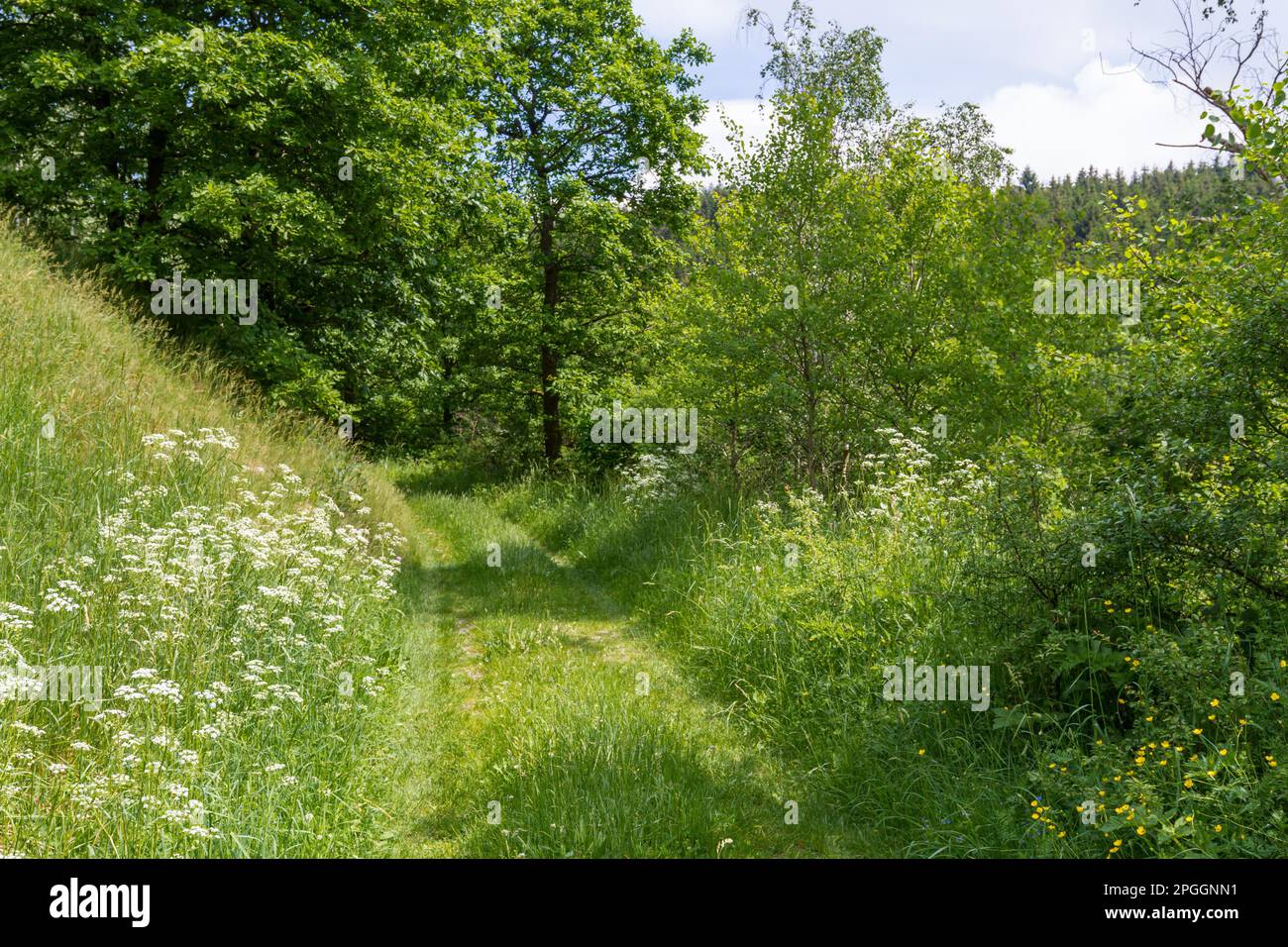 Long distance landscape hi-res stock photography and images - Alamy
