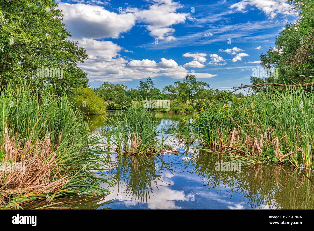Neudorf lake hi-res stock photography and images - Alamy