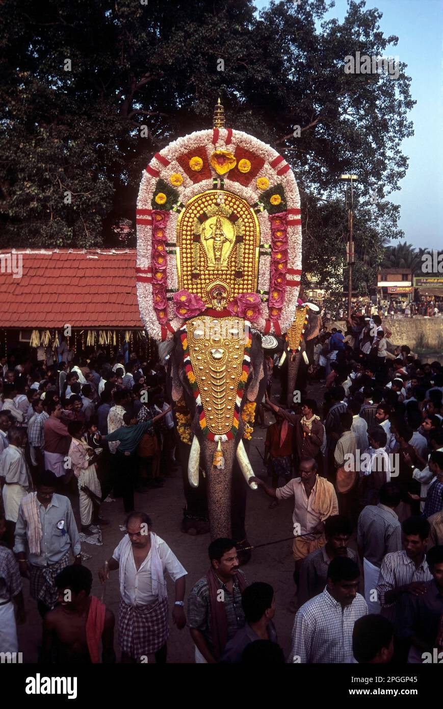 Vallanghy nenmara vela hi-res stock photography and images - Alamy