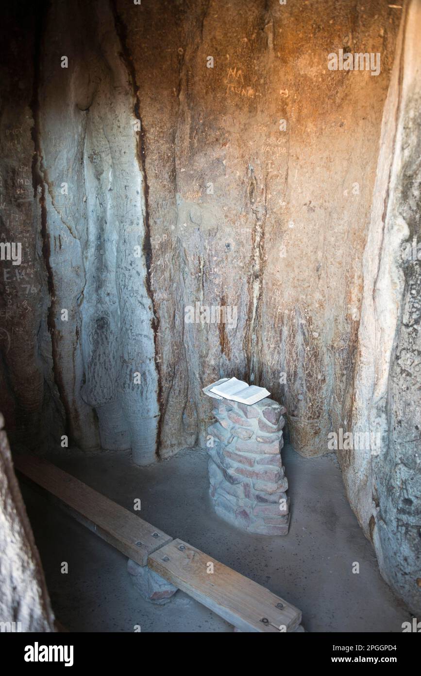 Ombalantu Baobab (Adansonia digitata) Tree, Outapi, Namibia Stock Photo ...