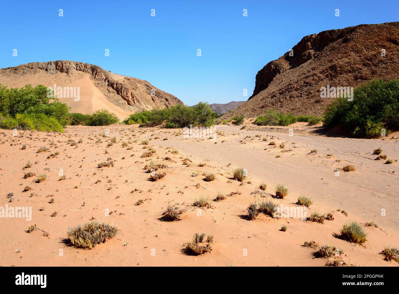 Landscape at the Huab River, C39, Damaraland, Namibia Stock Photo - Alamy