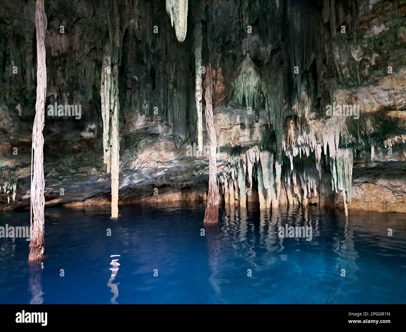 The Cenotes in Yucatan, Mexico are deep natural wells, a natural ...