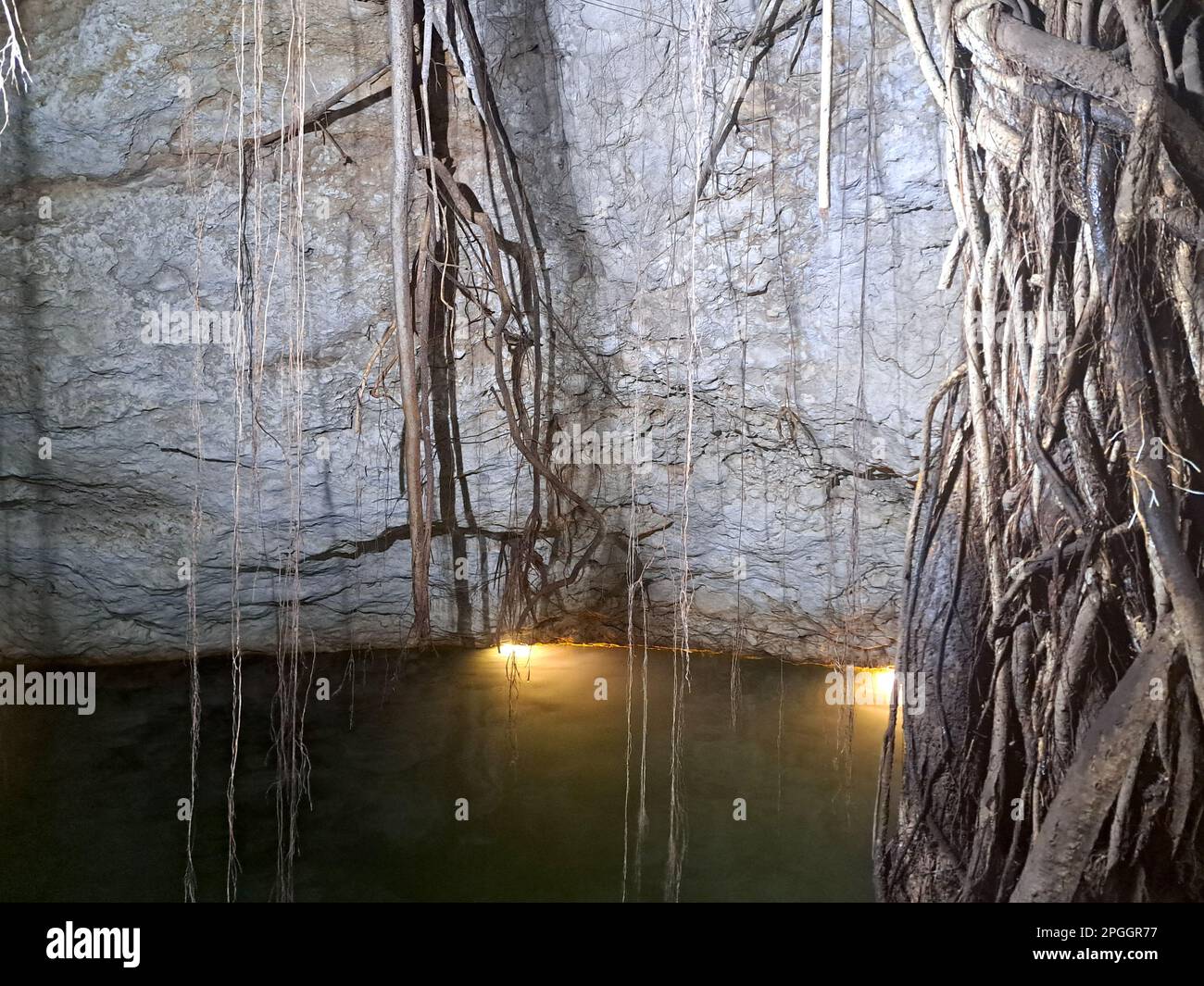 The Cenotes in Yucatan, Mexico are deep natural wells, a natural ...
