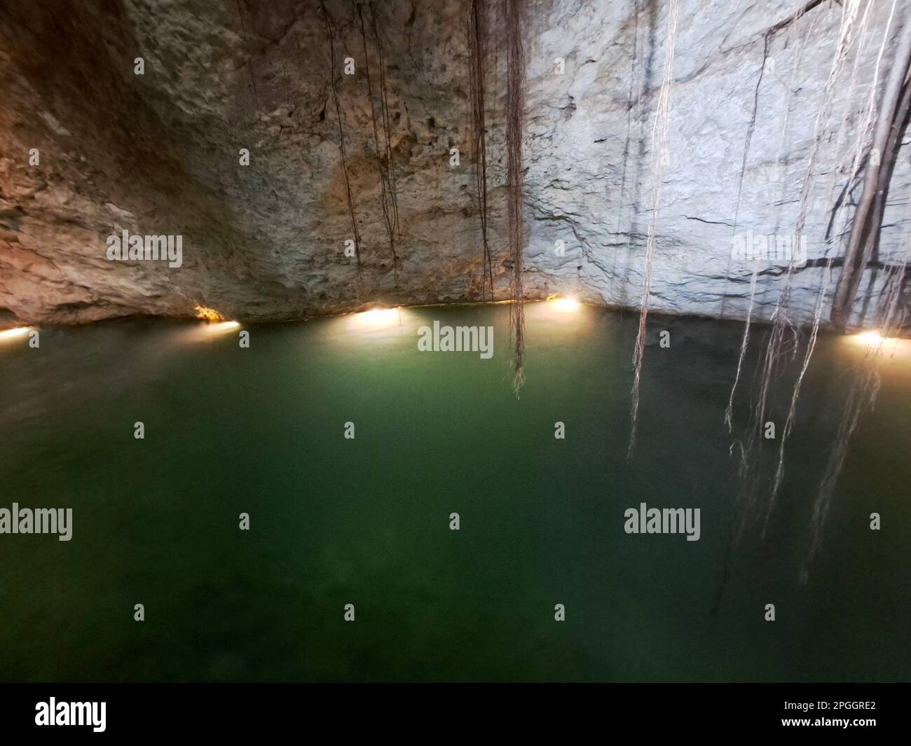 The Cenotes in Yucatan, Mexico are deep natural wells, a natural ...