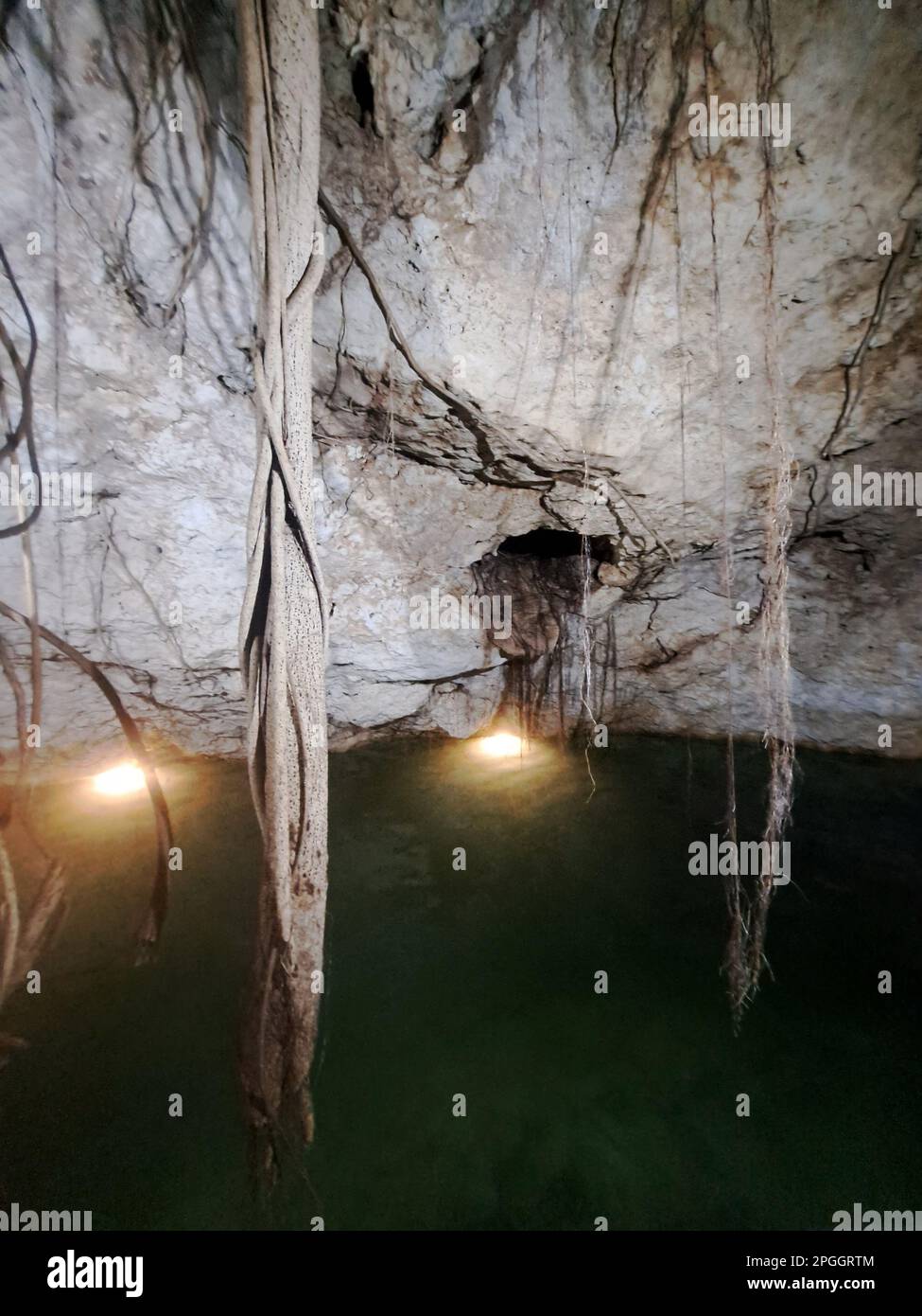 The Cenotes in Yucatan, Mexico are deep natural wells, a natural ...
