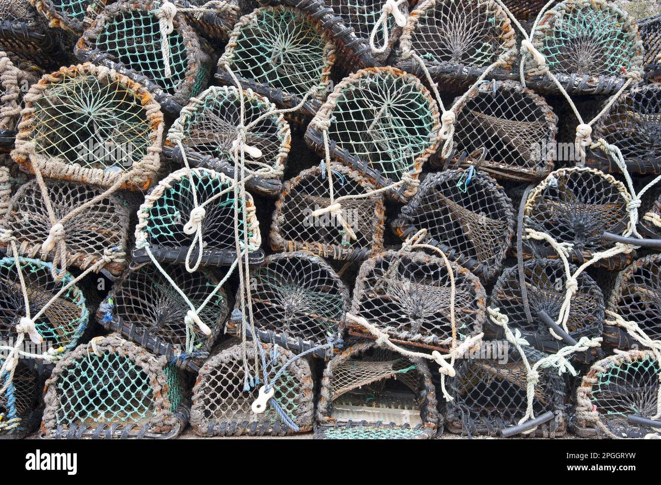 Lobster pots on quayside of harbour, Burnmouth, Scottish Borders ...