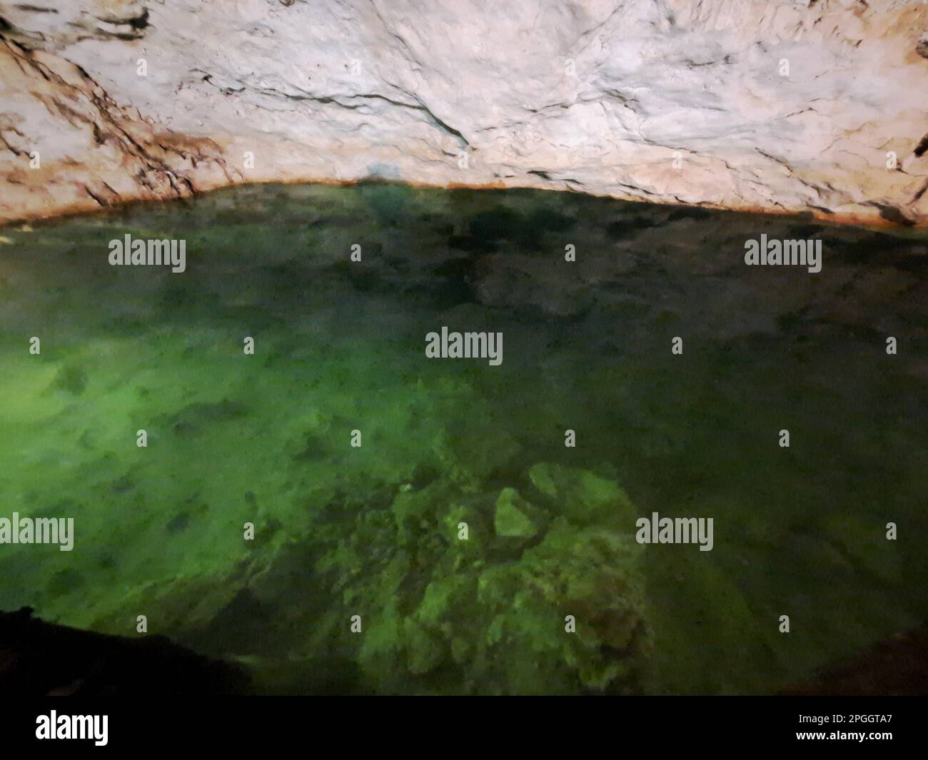 The Cenotes in Yucatan, Mexico are deep natural wells, a natural ...