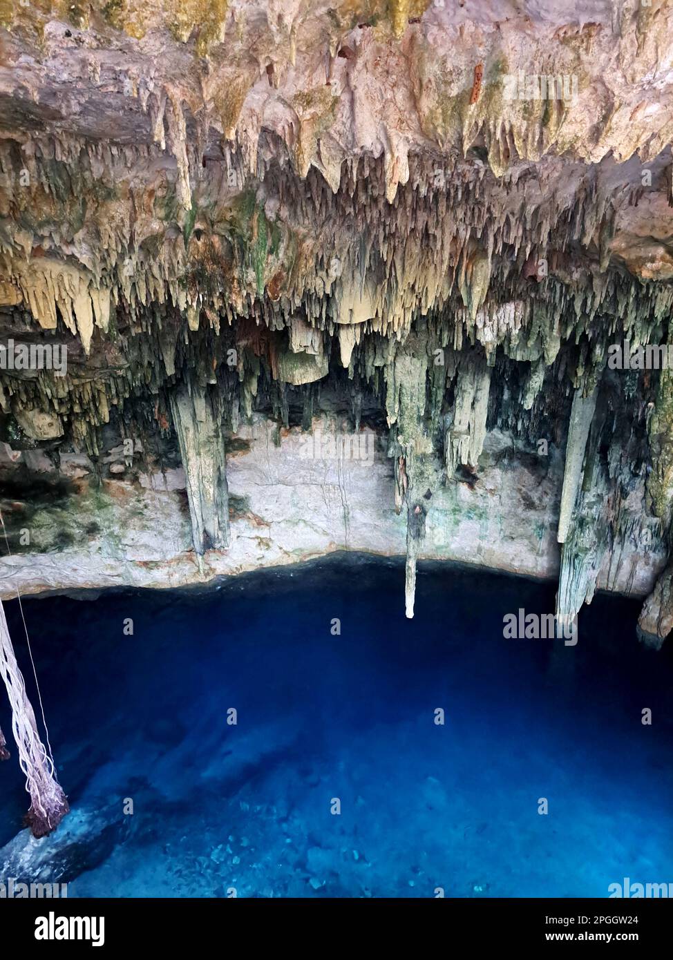 The Cenotes in Yucatan, Mexico are deep natural wells, a natural ...