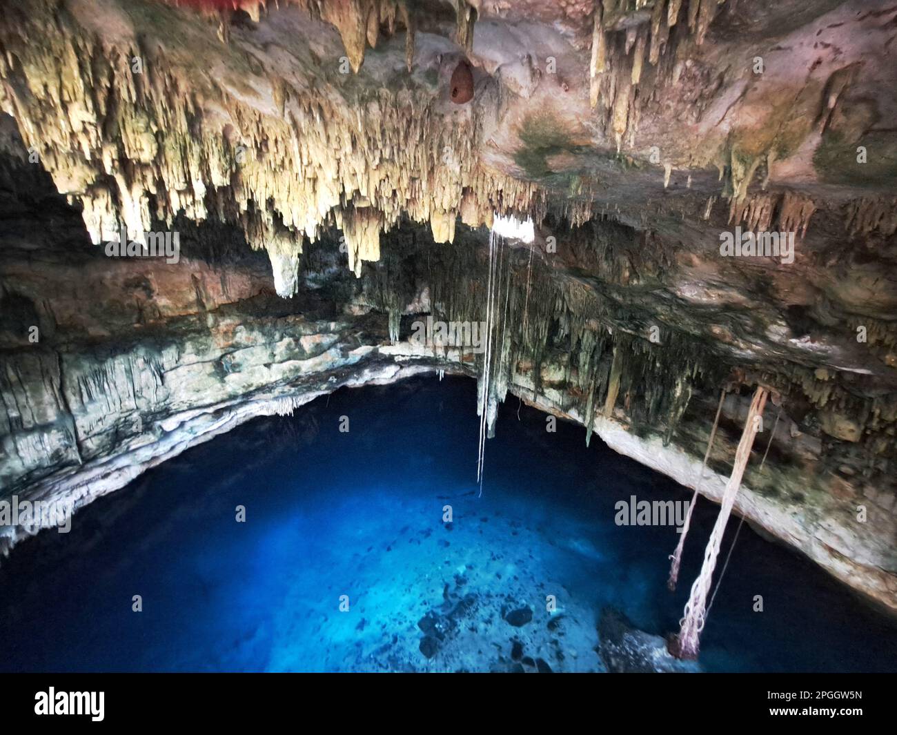 The Cenotes in Yucatan, Mexico are deep natural wells, a natural ...